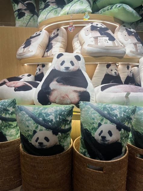 에버랜드 푸바오 굿즈 가격 인형 그립톡 키링 신상 마들렌 온라인 판매 위치 네이버 블로그