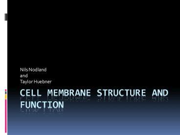 Cell Membrane Structure And Function Presentation Free To View