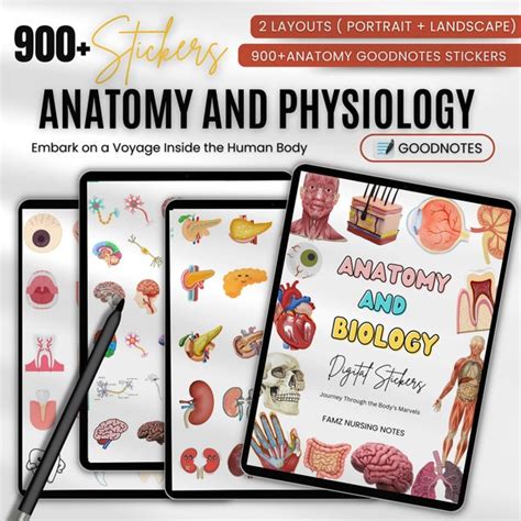 Anatomy And Biology Digital Stickers Etsy