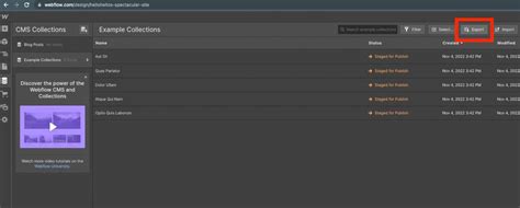 Webflow To Wordpress Migration Considerations