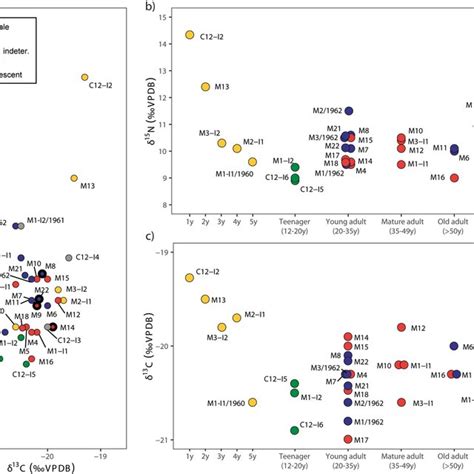A Bivariate Plot Of δ¹³c And δ¹⁵n Of The Humans From Gumelnița