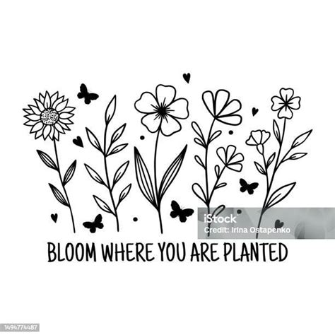 당신이 심은 곳에서 꽃을 피우십시오 영감을주는 따옴표 긍정적 인 따옴표 동기 부여 손으로 그린 꽃입니다 야생화의 손으로 그린