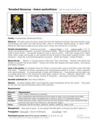 Sedum Spathulifolium PDF