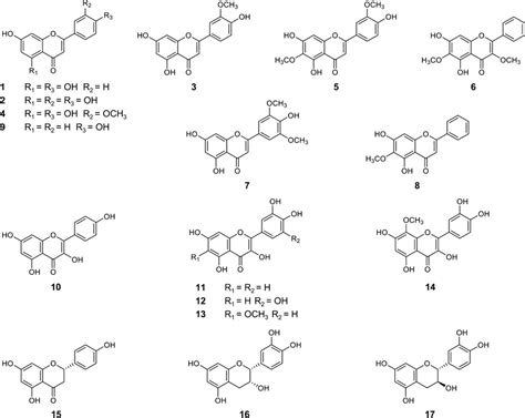 Flavone Flavonol Flavanone And Flavanol Aglycones From Violaceae Download Scientific Diagram