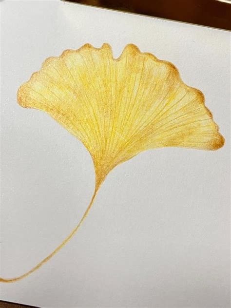 彩铅画图片大全简单 彩铅画图片大全简单入门 博物迷