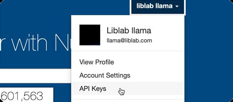 Liblab Tutorial Sdk Ci Cd With Bitbucket Pipelines