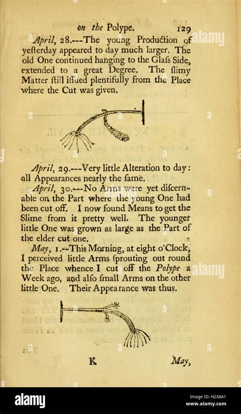 A Natural History Of Polyps Detailing Their Biological Classification