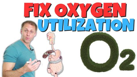 Improving Oxygen Utilization Youtube