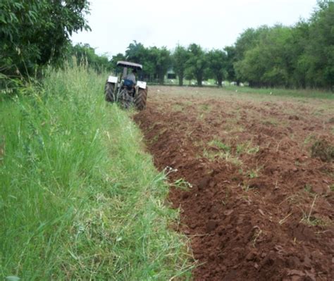 โครงการศึกษาวิธีการฟื้นฟูที่ดินเสื่อมโทรมเขาชะงุ้มอันเนื่องมาจากพระราชดำริ อำเภอโพธาราม จังหวัด