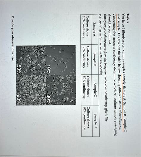 Task 3 You Have 4 Fibroblast Cell Culture Samples Namely Sample A Sample B Sample C And