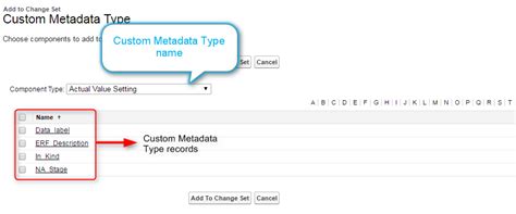 Custom Metadata Type MST Solutions