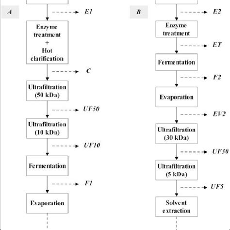 Schematic Diagram Of The Processes And Sample Coding A First Process Download Scientific