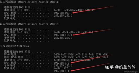 网络层协议 IP协议 知乎