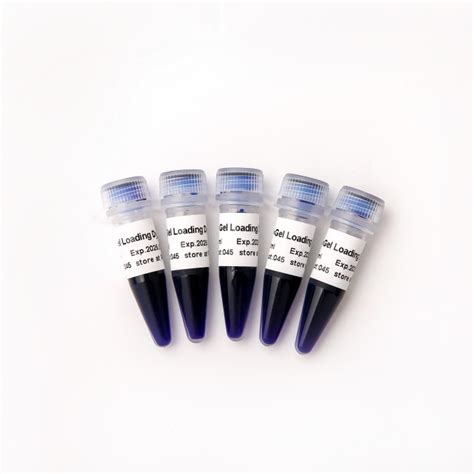 6x Dna Loading Dye Orange Electrophoresis Loading Buffer