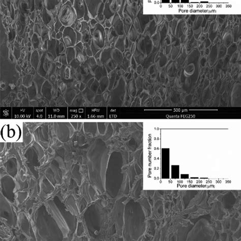 Sem Micrographs And Pore Size Distribution Of Plgaspions Composite