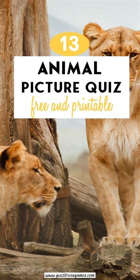 10 Free Animal Picture Quiz Rounds And Printable Quiz Trivia Games