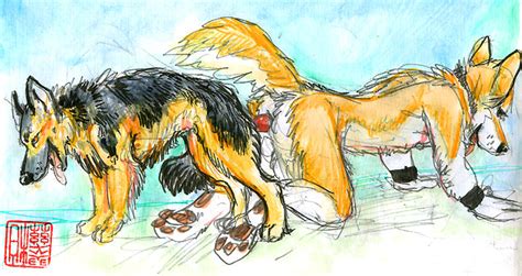 Rule 34 All Fours Anthro Ass To Ass Canine Feral Gay Java Knot Male
