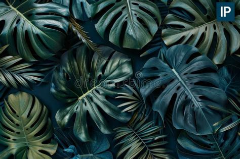 Promoting Ecosystem Conservation Strategies For Protecting Natural