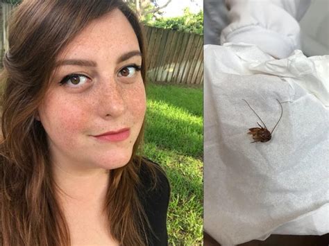 Una Cucaracha Se Metió En El Oído De Una Mujer De Florida Tardó Nueve Días En Sacarla Infobae