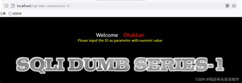 零基础从sqli Labs开始学sql注入【个人记录向】【1】通过sqlilabs学习sql注入掌握sql注入的原理以及实践操作 Csdn博客