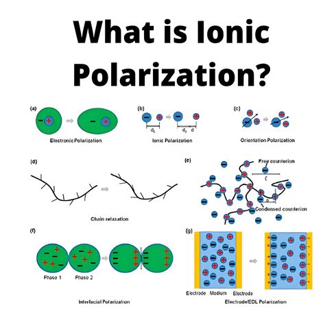 What Is Ionic Polarization Iee Business