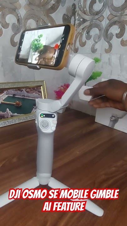 Dji Osmo Se Mobile Gimble Ai Feature Tracking Object Youtube