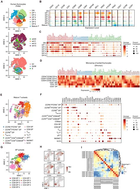 Frontiers Integrative Single Cell Transcriptomic Analysis Of Human