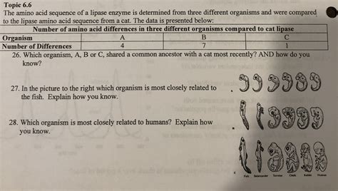 Biology Unit 6 Study Guide Part 2 Diagram Quizlet