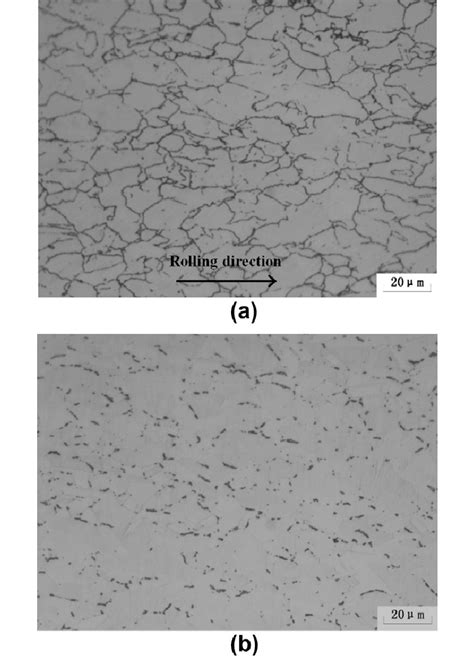 Microstructure Of Hot Rolled Hns A Elongated Grains Along Rolling Download Scientific