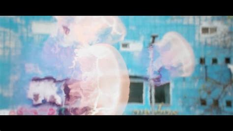 Create Visual Effects With Digital Compositing By Guylubin Fiverr