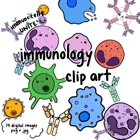 Antibody Antigen Cartoon