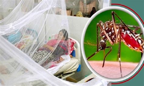ডেঙ্গুতে আক্রান্ত হয়ে ১৮ জন হাসপাতালে