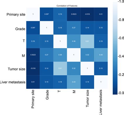 Development And Validation Of A Machine Learning Model To Predict The Risk Of Lymph Node