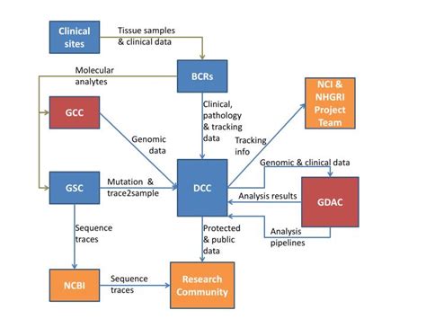 PPT DCC PowerPoint Presentation Free Download ID