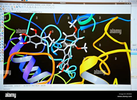 Docking 3d Computational Model To Simulate The Molecular Dynamics Of