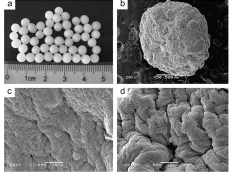 Figure 2 From Preparation And Characterization Of A Novel Ph Sensitive Chitosan G Poly Acrylic