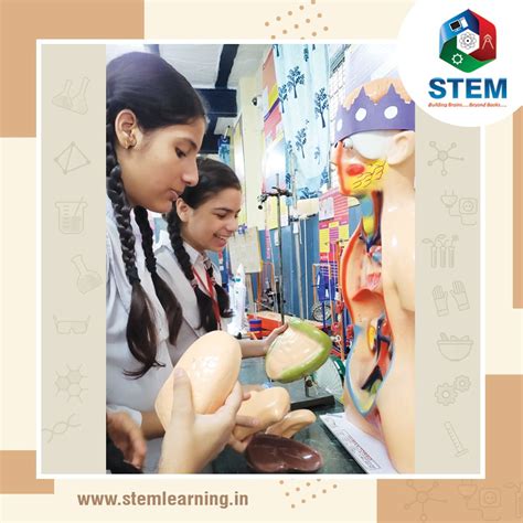 Education Handsonlearning Stem Humananatomy Minisciencecentre Csr