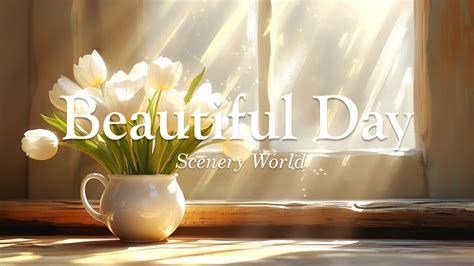 봄의 따뜻한 햇살을 담은 피아노 연주곡 Beautiful Day Scenery World Youtube