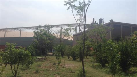 Muhammad Raees On Linkedin Dg Cement Kallar Kahar