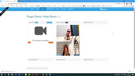 Janus 的搭建与 Webrtc 使用 Free Note