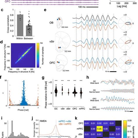 Hfos Are Globally Phase Locked But Have Multiple Sources A Example Download Scientific Diagram