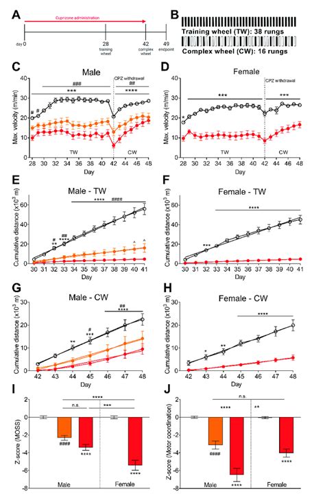 Cuprizone Administration Decreased Complex Motor Coordination In Download Scientific Diagram