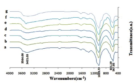 Ft Ir Spectra Of γ Fe2o3 Hap A And M Ii Doped γ Fe2o3 Hap Mn Ii Download Scientific