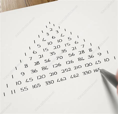 Pascals Triangle Illustration Stock Image F029 0543 Science