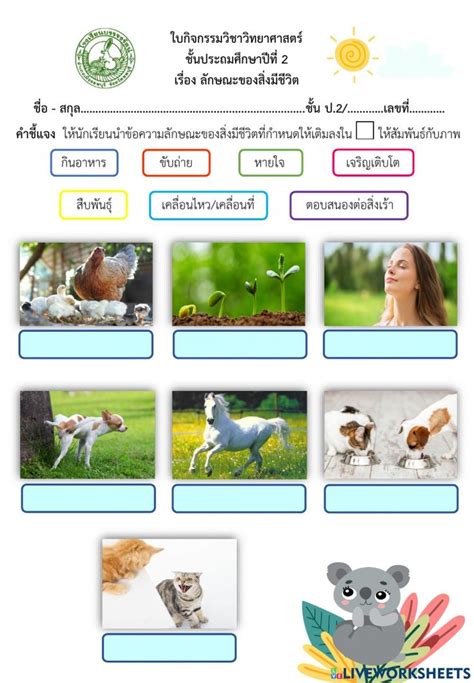 ใบงานลักษณะของสิ่งมีชีวิต ป 2 Worksheet วิทยาศาสตร์ การเรียนรู้ การศึกษา