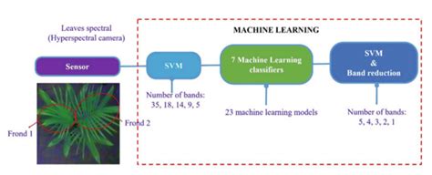 Figure 1 Progress Work On The Early Detection Of G Boninense Infection In Oil Palm Seedlings