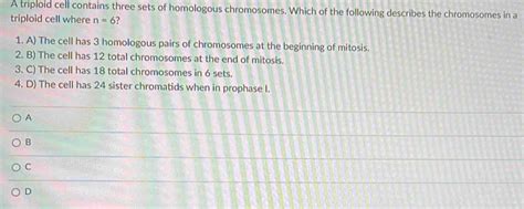 Solved A Triploid Cell Contains Three Sets Of Homologous Chromosomes