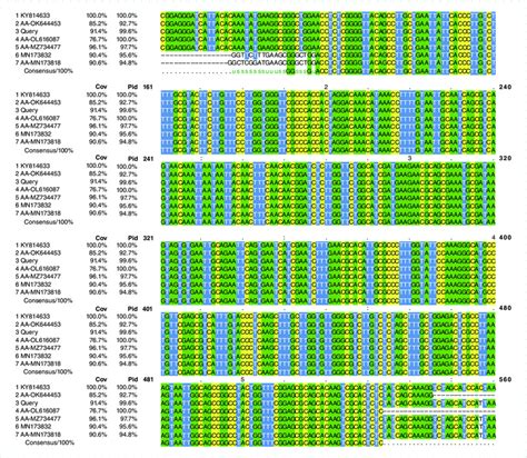 A Multiple Nucleotide Sequence Alignment Of The Its2 58 S Ribosomal