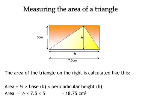 PPT Measurement PowerPoint Presentation Free Download ID 352743