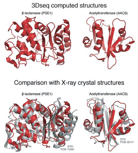Protein Structure From Experimental Evolution Cell Biology